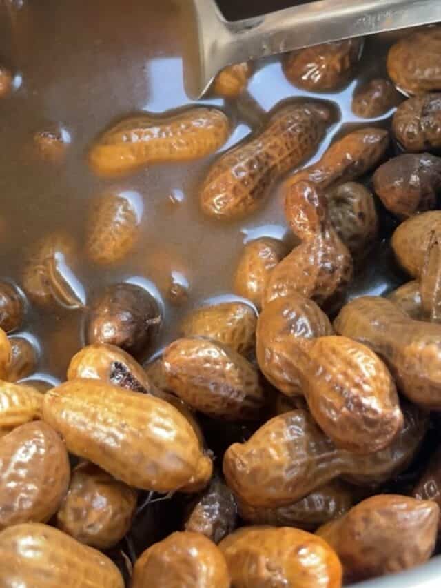 Easy Chipotle Pinto Beans Recipe in the Instant Pot | Powell Family Cooking