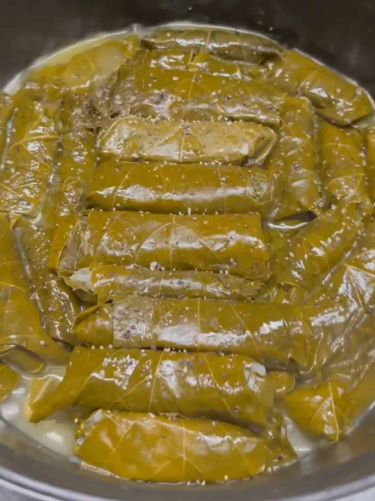 Dolmades Recipe: How to Make Greek Stuffed Grape Leaves at Home ...