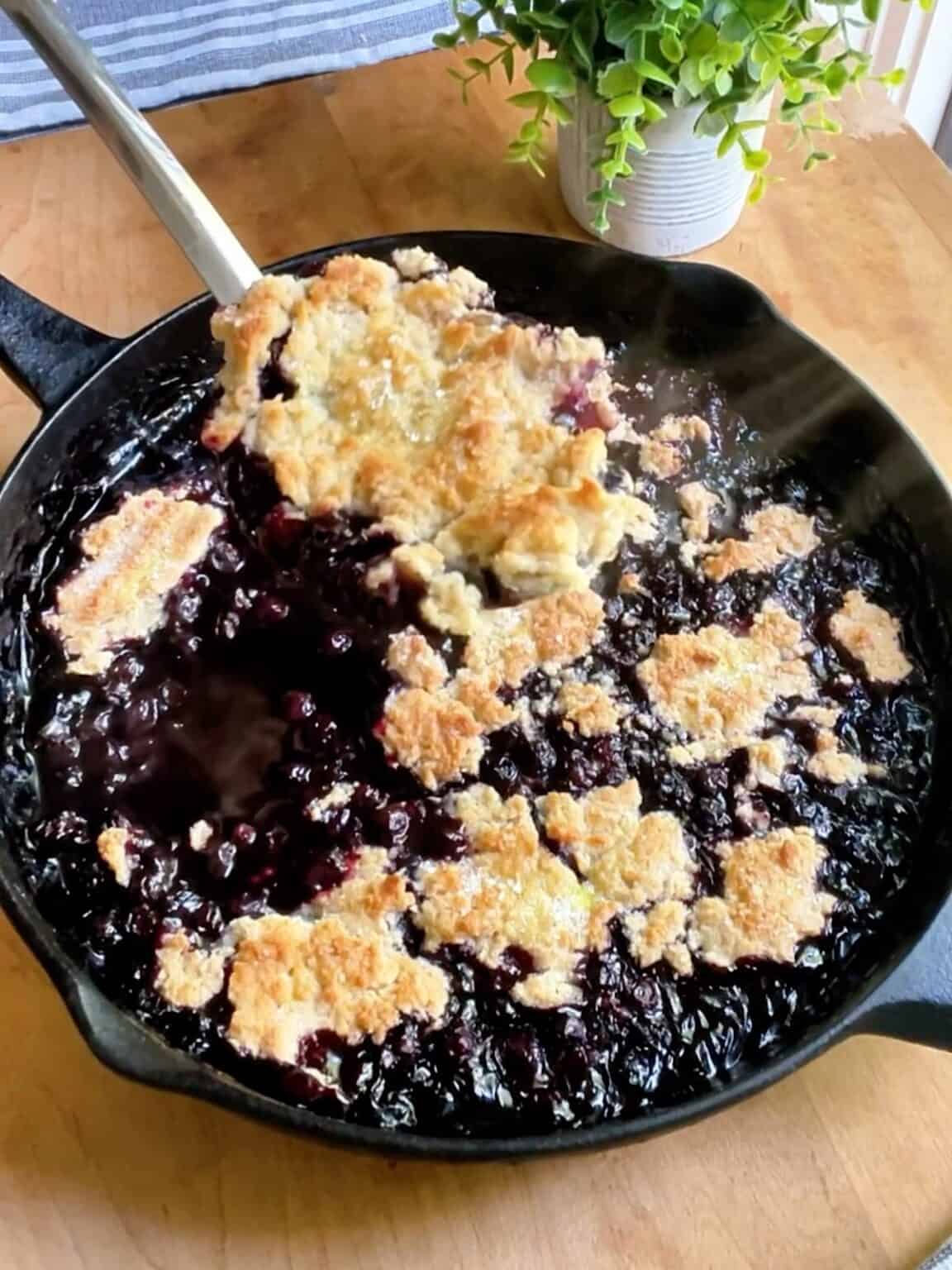 Old Fashioned Blueberry Cobbler | Powell Family Cooking