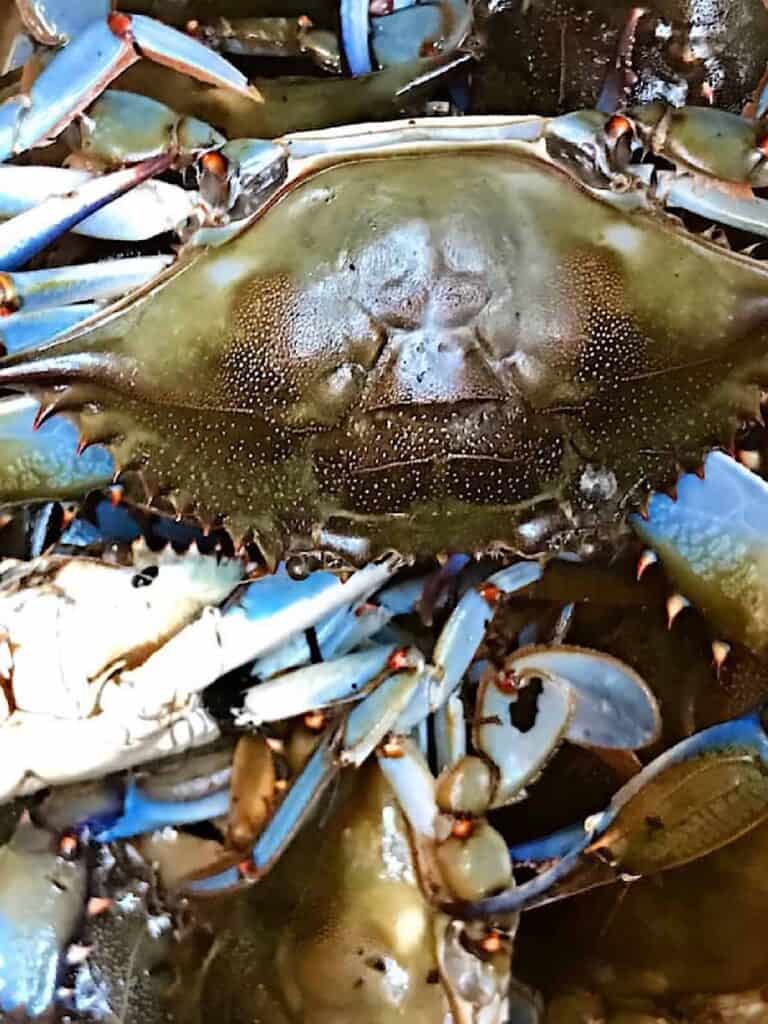 Sartin’s Signature Deep Fried BBQ Blue Crabs: Copycat Recipe | Powell ...