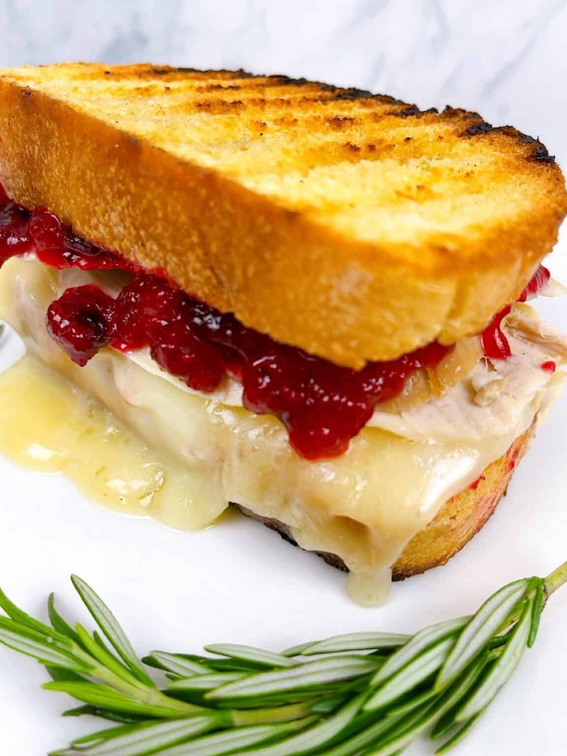 Turkey Brie Cranberry Grilled Sandwich | Powell Family Cooking