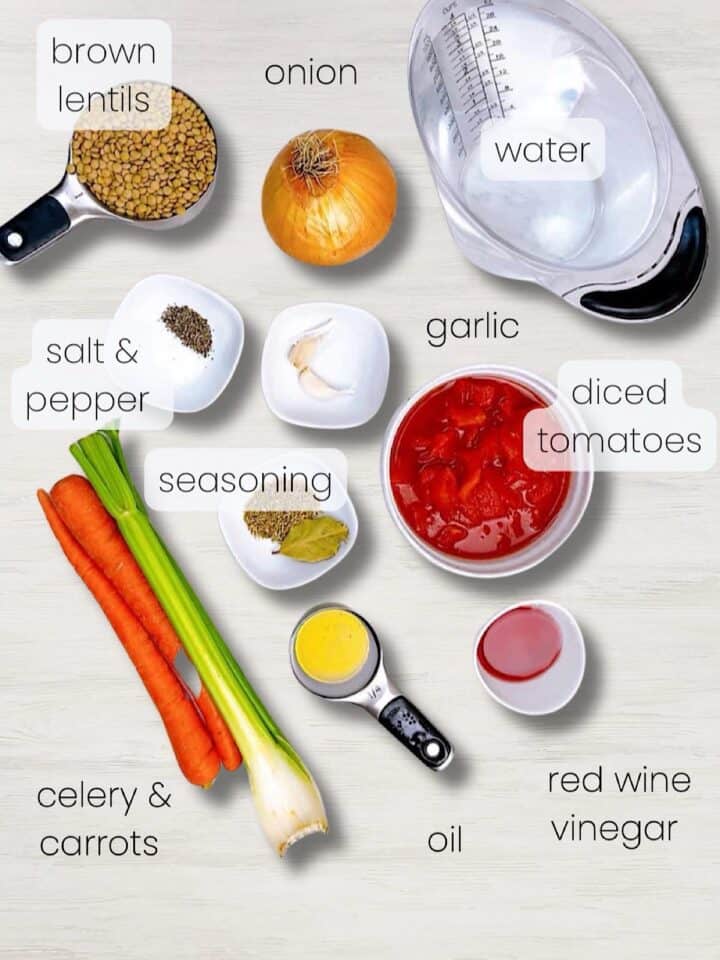 Easy Greek Lentil Soup Recipe (Fakes) | Powell Family Cooking