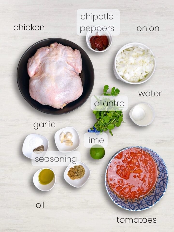 Instant Pot Chicken Tinga (Easy Recipe) | Powell Family Cooking