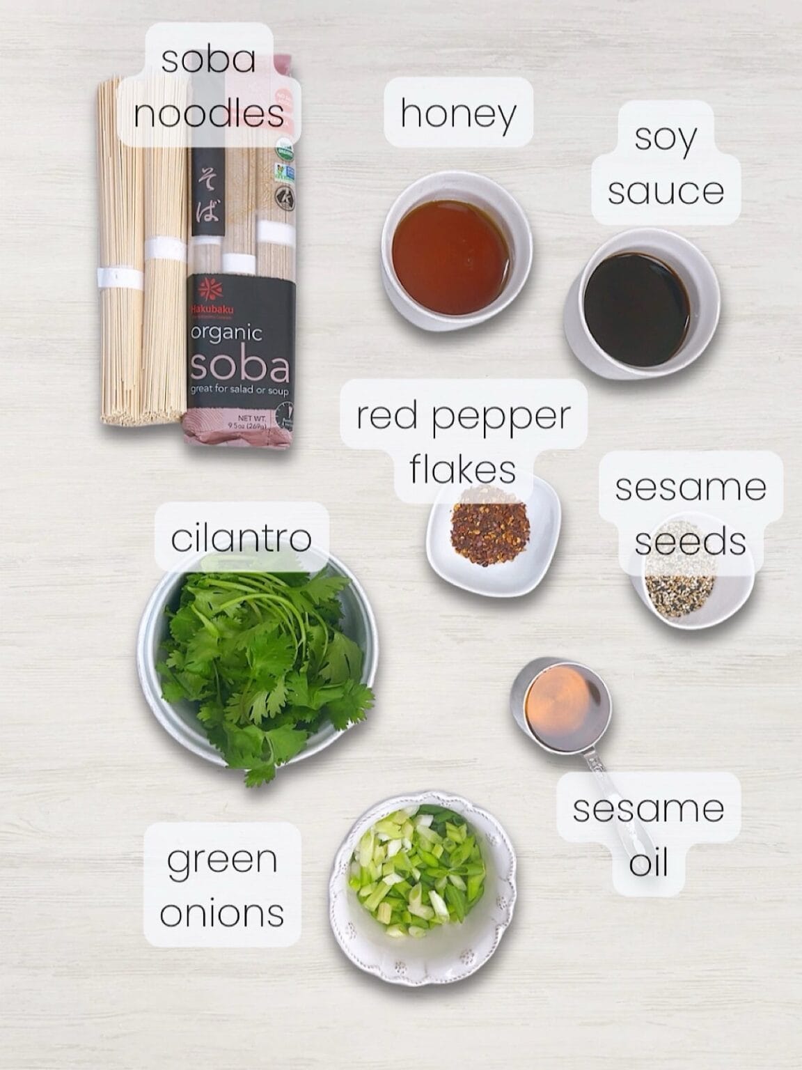 Cold Soba Noodle Salad Recipe | Powell Family Cooking